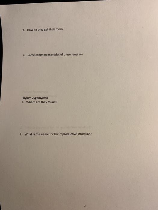 Solved Name: Lab Section: Worksheet 10 Kingdoms Bacteria, | Chegg.com Solved Name: Lab Section: Worksheet 10 Kingdoms Bacteria, | Chegg.com