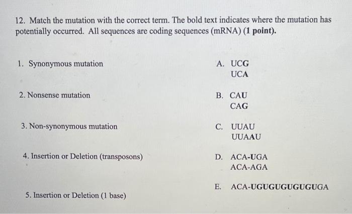 Solved 12. Match the mutation with the correct term. The | Chegg.com