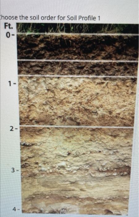 Solved 0- 1 2- 3- 4- Ft. А Mollisol 3 - 4- Ft. A Mollisol | Chegg.com