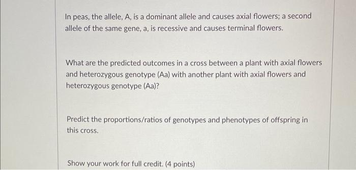Solved In peas, the allele, A, is a dominant allele and | Chegg.com