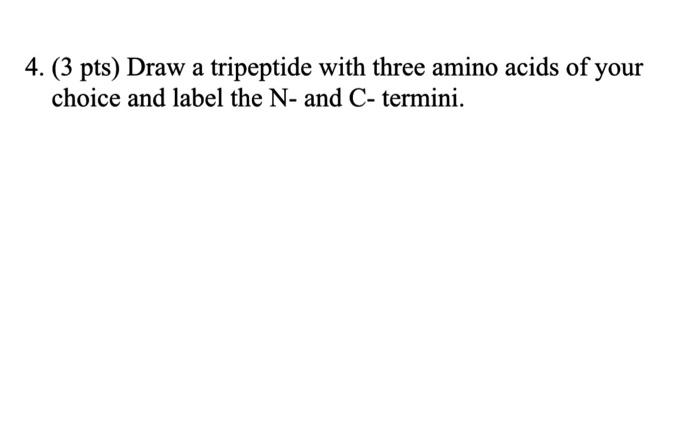 Solved 4. (3 pts) Draw a tripeptide with three amino acids | Chegg.com