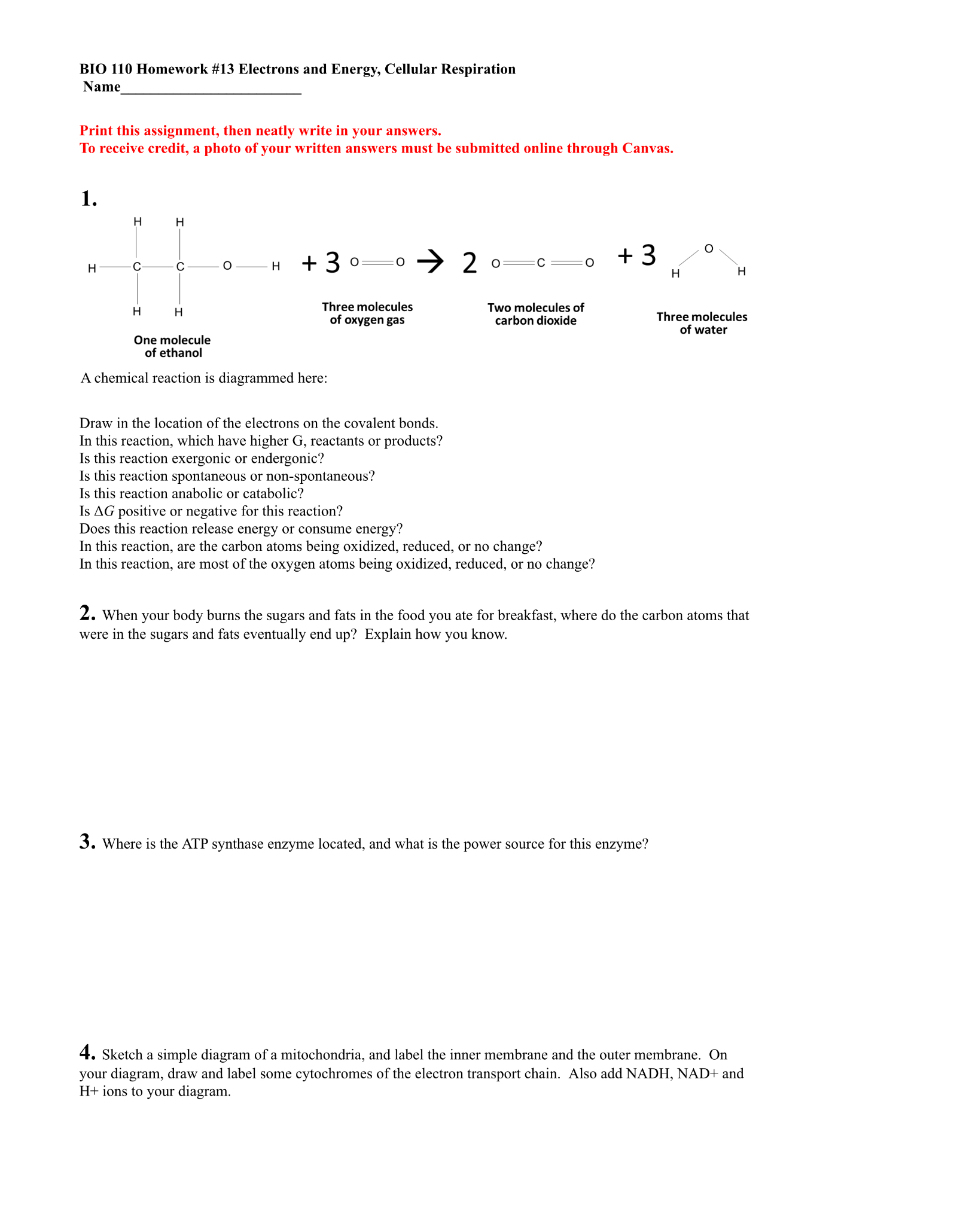 Solved BIO 110 ﻿Homework #13 ﻿Electrons and Energy, Cellular | Chegg.com