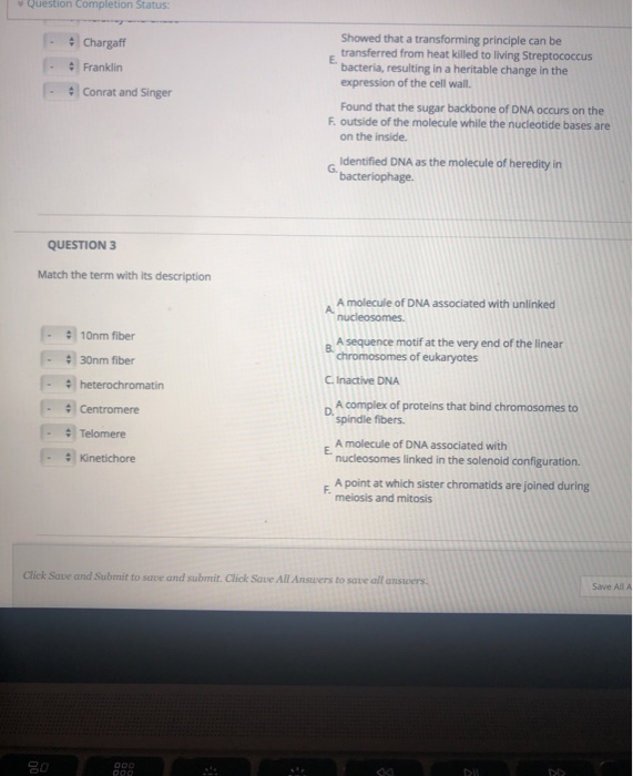 Solved Question Completion Status: - Kinetichore A molecule | Chegg.com