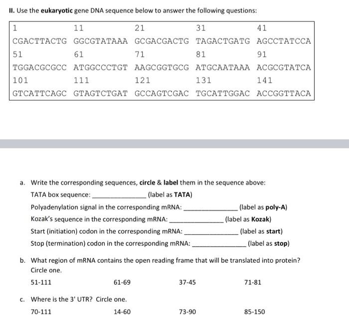 Solved II. Use the eukaryotic gene DNA sequence below to | Chegg.com