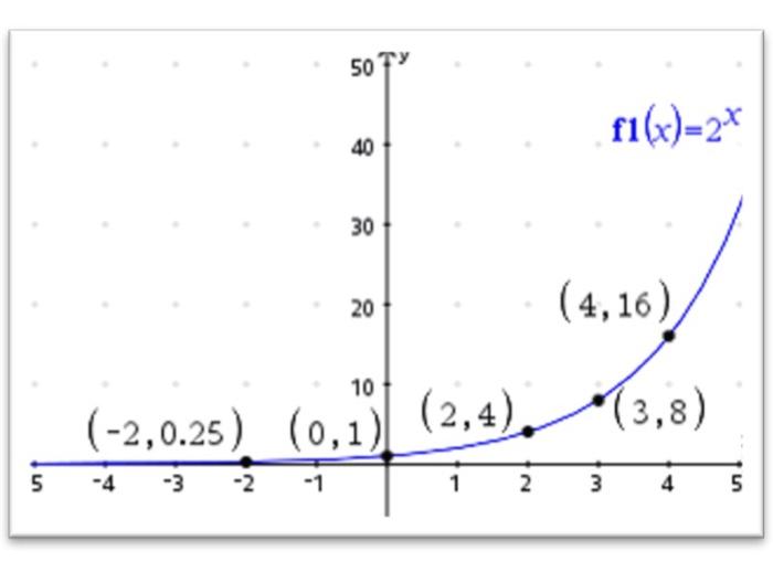 Solved write an exponential function that will reflect the | Chegg.com