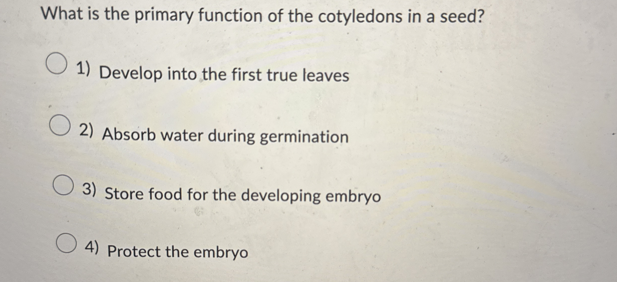 Solved What is the primary function of the cotyledons in a | Chegg.com