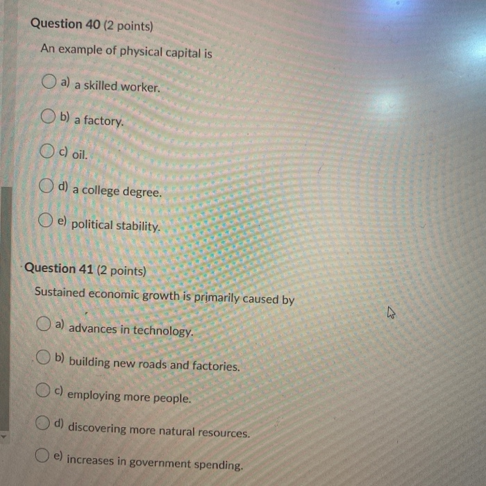 Solved Question 40 (2 points) An example of physical capital | Chegg.com