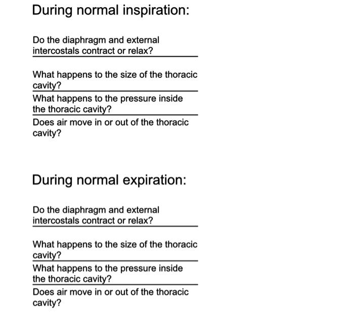 Solved During normal inspiration: Do the diaphragm and | Chegg.com