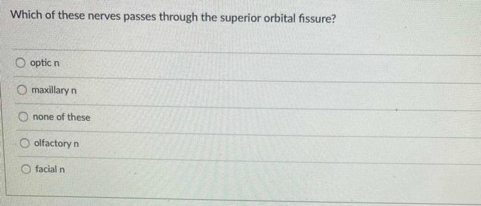 Solved Saturday night palsy CMMG 2008 Saturday night | Chegg.com