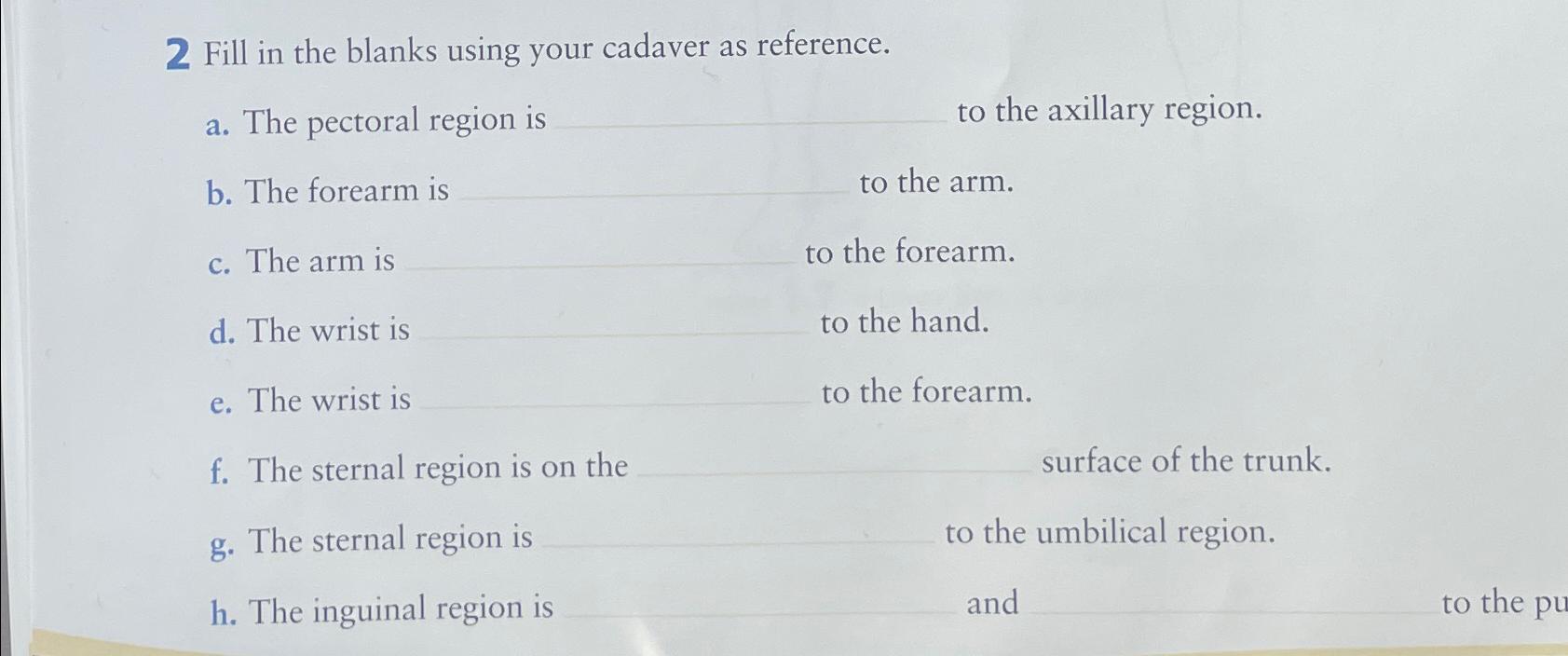 Solved 2 ﻿Fill in the blanks using your cadaver as | Chegg.com