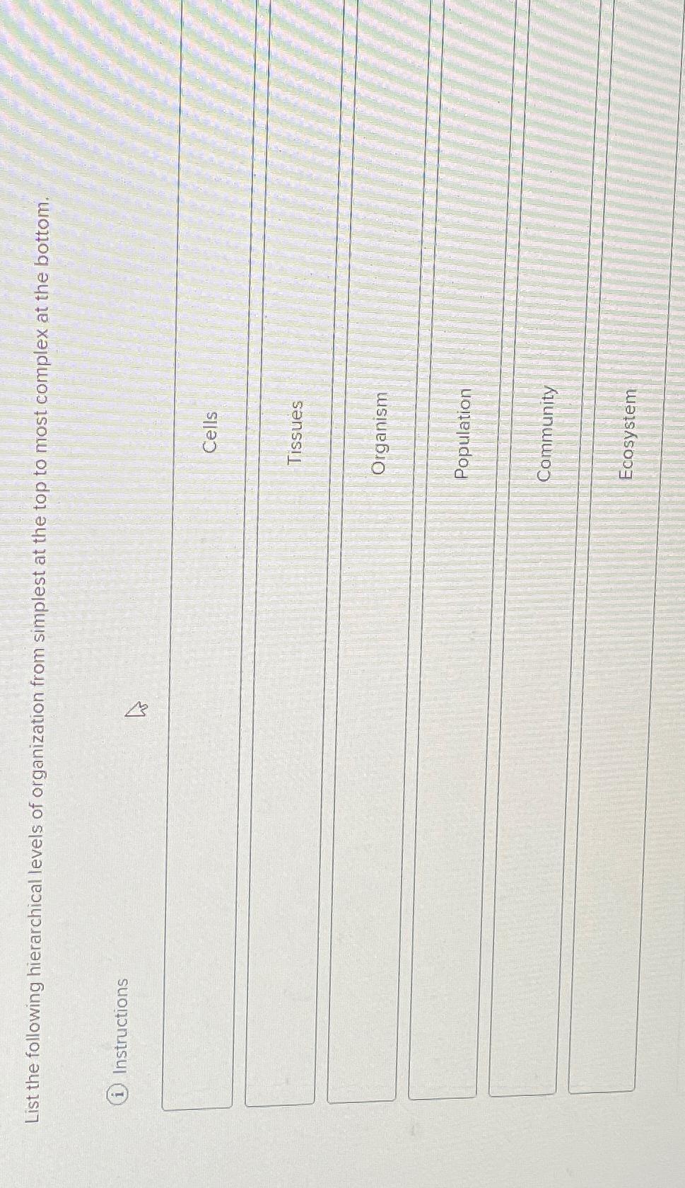 Solved List the following hierarchical levels of | Chegg.com