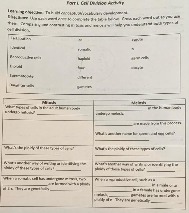 Solved Part I. Cell Division Activity Learning objective: To | Chegg.com