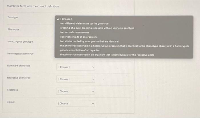 Solved Match the term with the correct definition. Genotype | Chegg.com