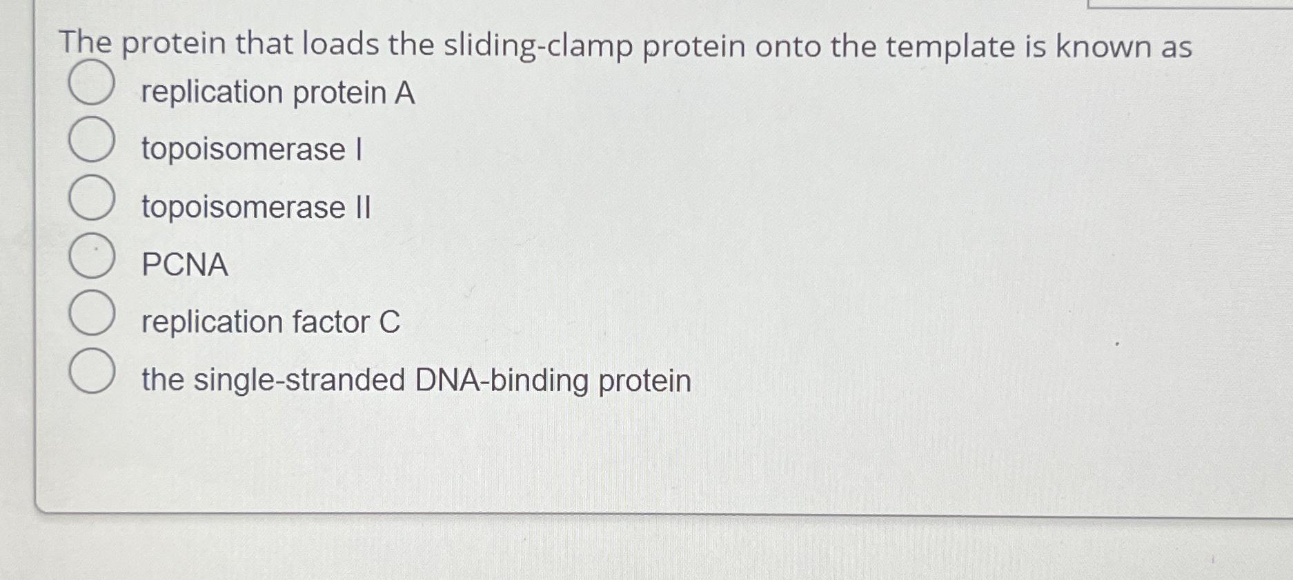 Solved The protein that loads the sliding-clamp protein onto | Chegg.com
