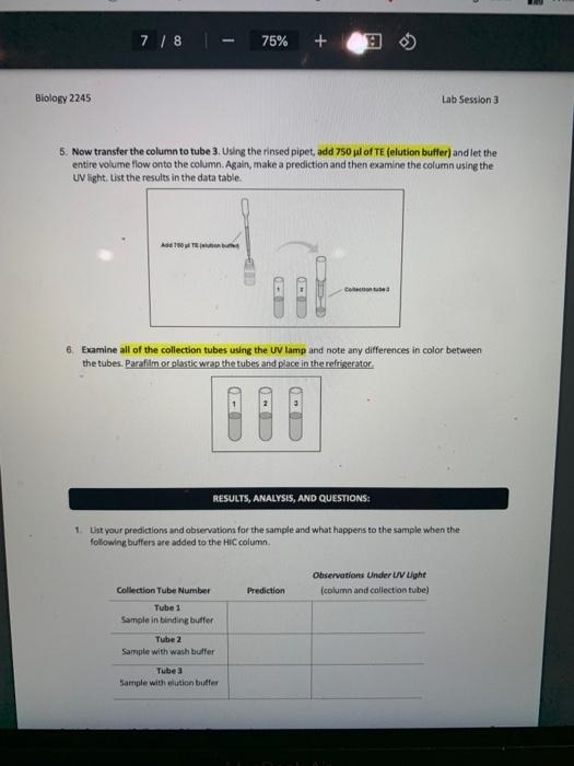 Solved Biology 2245 Lab Session 3 Title: GFP PROTEIN | Chegg.com