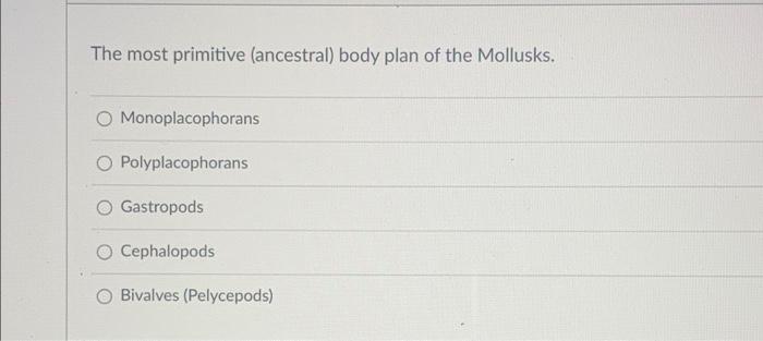 Solved The most primitive (ancestral) body plan of the | Chegg.com