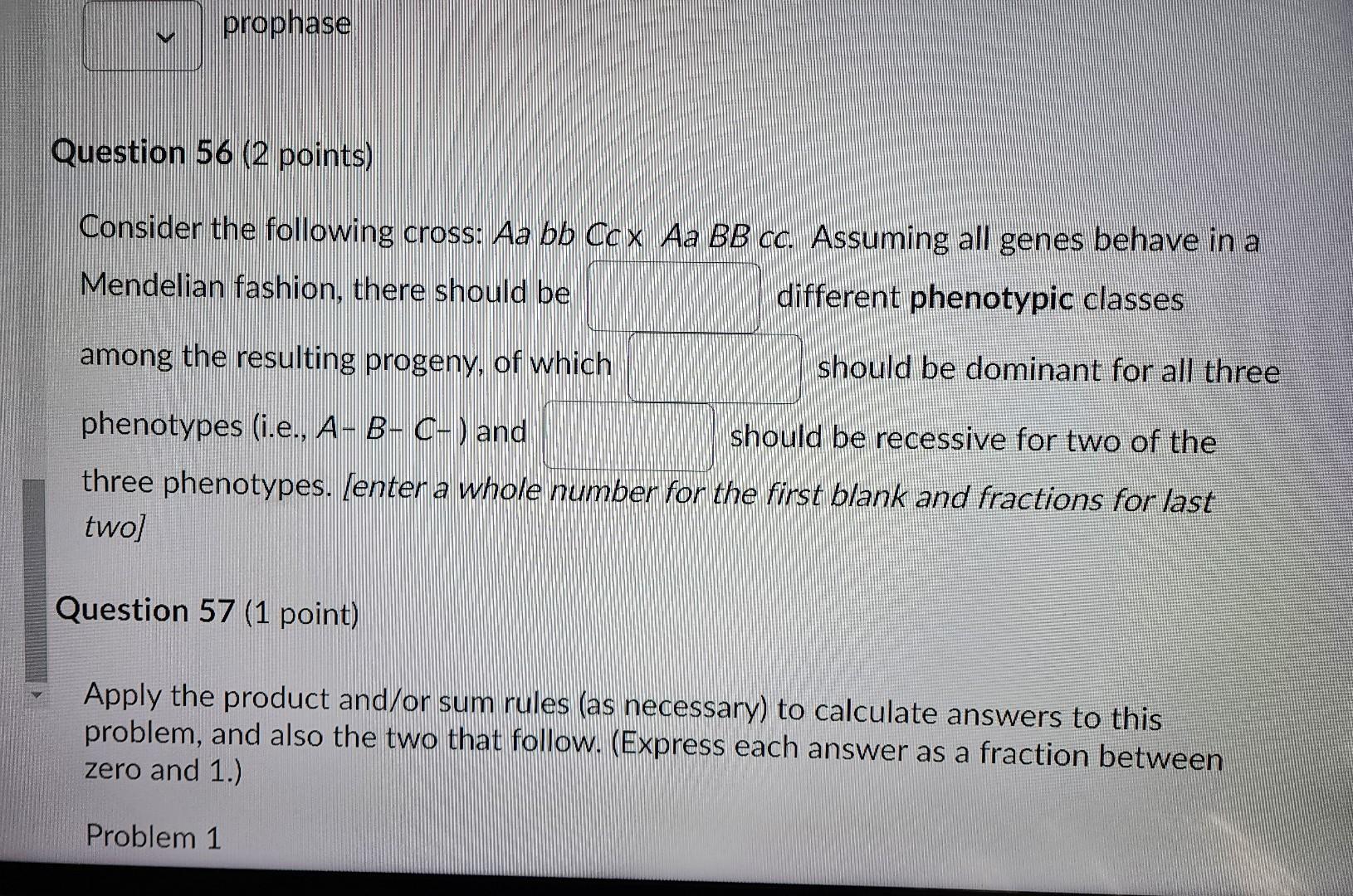 Solved prophase Question 56 ( 2 points) Consider the | Chegg.com