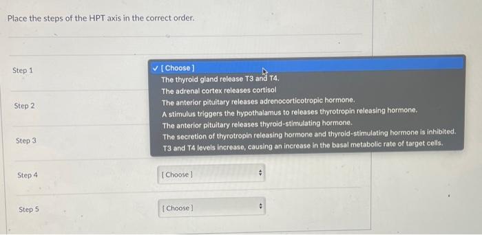Solved Place the steps of the HPT axis in the correct order. | Chegg.com