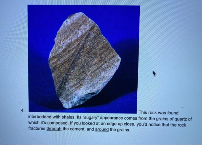 Solved 4. This rock was found interbedded with shales. Its | Chegg.com
