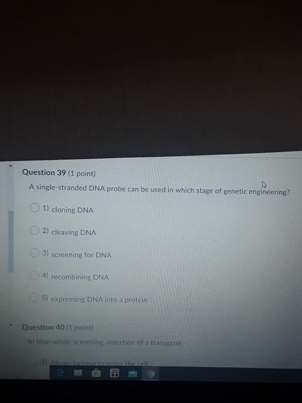 Solved Question 39 (1 point) A single-stranded DNA probe can | Chegg.com