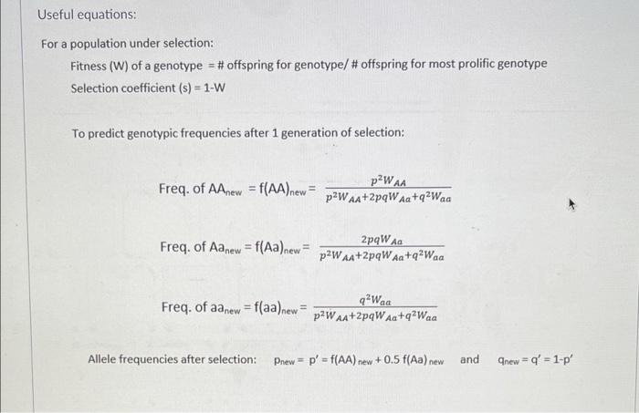 Assume that a new selective force impacts the | Chegg.com