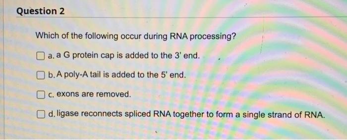 Solved Which of the following occur during RNA processing? | Chegg.com