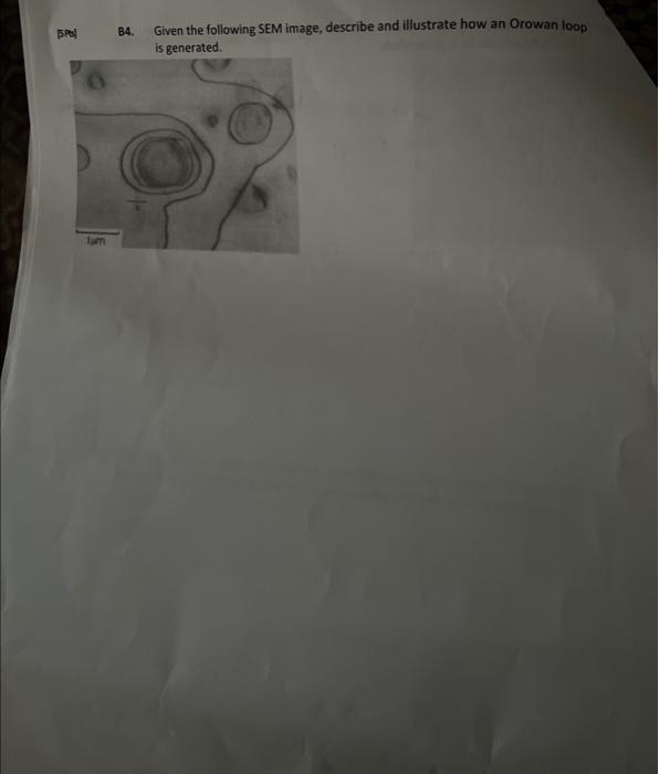 B4. Given the following SEM image, describe and | Chegg.com