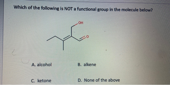 Solved Which of the following is NOT a functional group in | Chegg.com