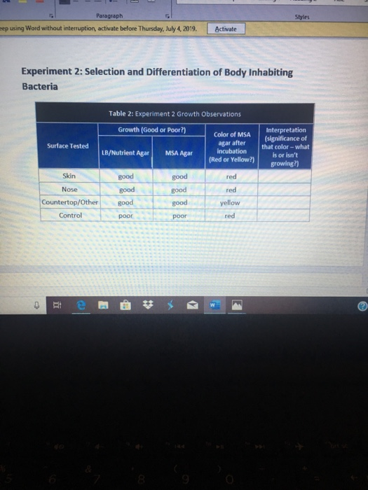 Solved Paragraph Styles ep using Word without interruption, | Chegg.com
