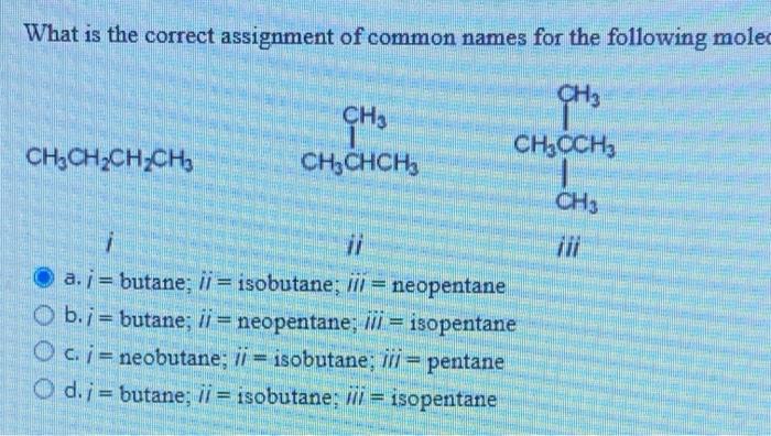 Solved What is the correct assignment of common names for | Chegg.com
