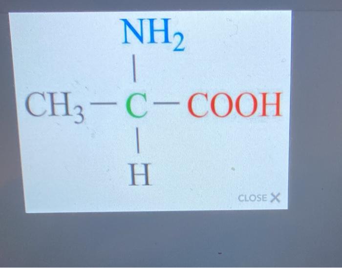 Solved NH2 CH3 – C-COOH I — CLOSE X | Chegg.com