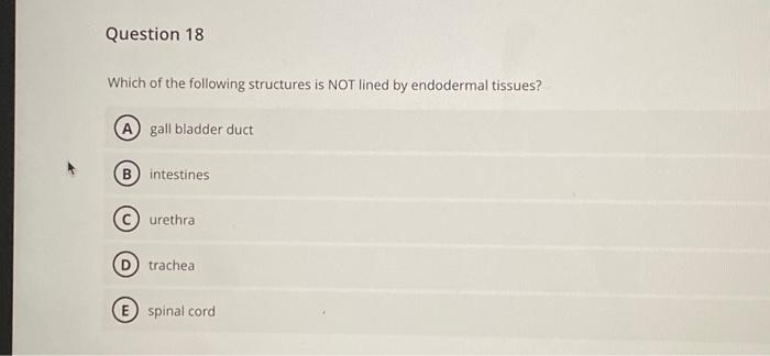 Solved Which of the following structures is NOT lined by | Chegg.com