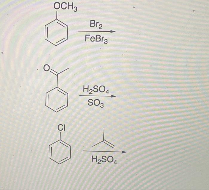 Solved FeBr3 Br2 SO3 H2SO4 | Chegg.com