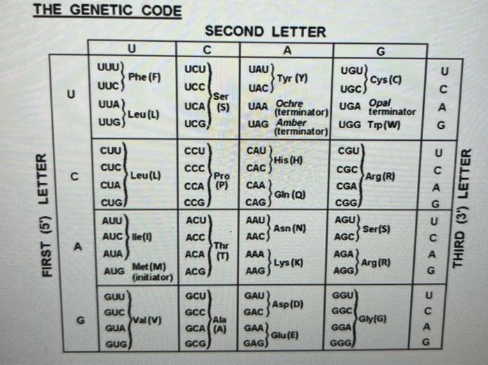Step 1 The Following Table Shows A Partial Dna