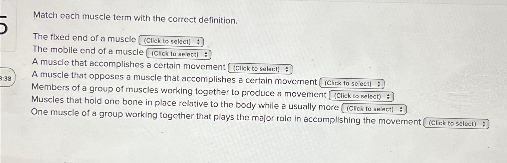 Solved Match each muscle term with the correct | Chegg.com