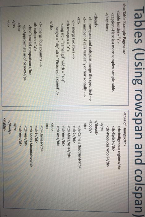 Solved Write Xhtml Program To Make This Table Web 