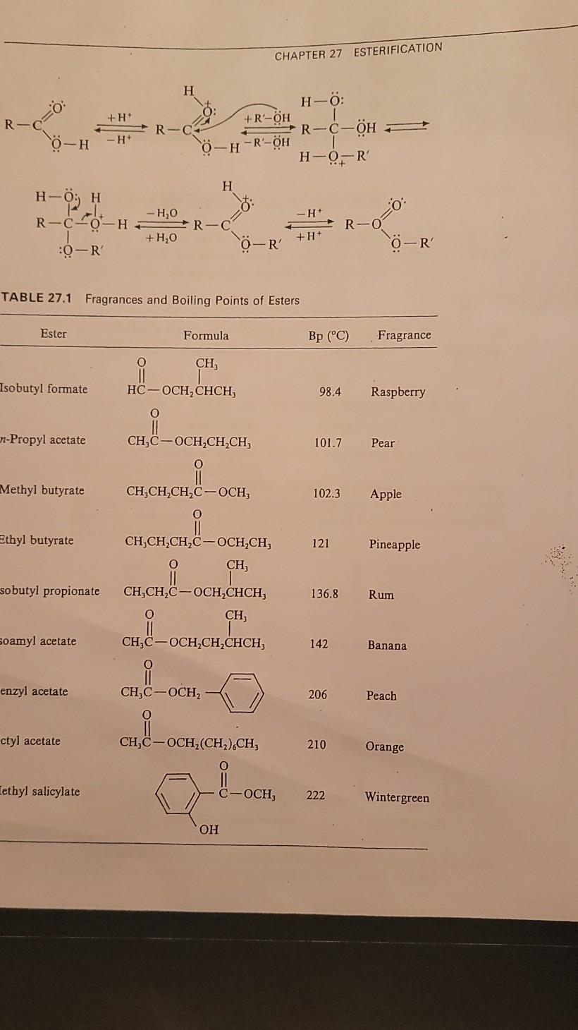 Esterification PRELAB EXERCISE: Give the detailed | Chegg.com