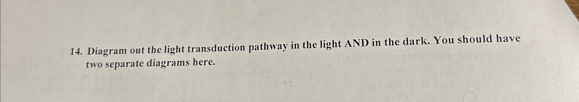 Solved Diagram out the light transduction pathway in the | Chegg.com