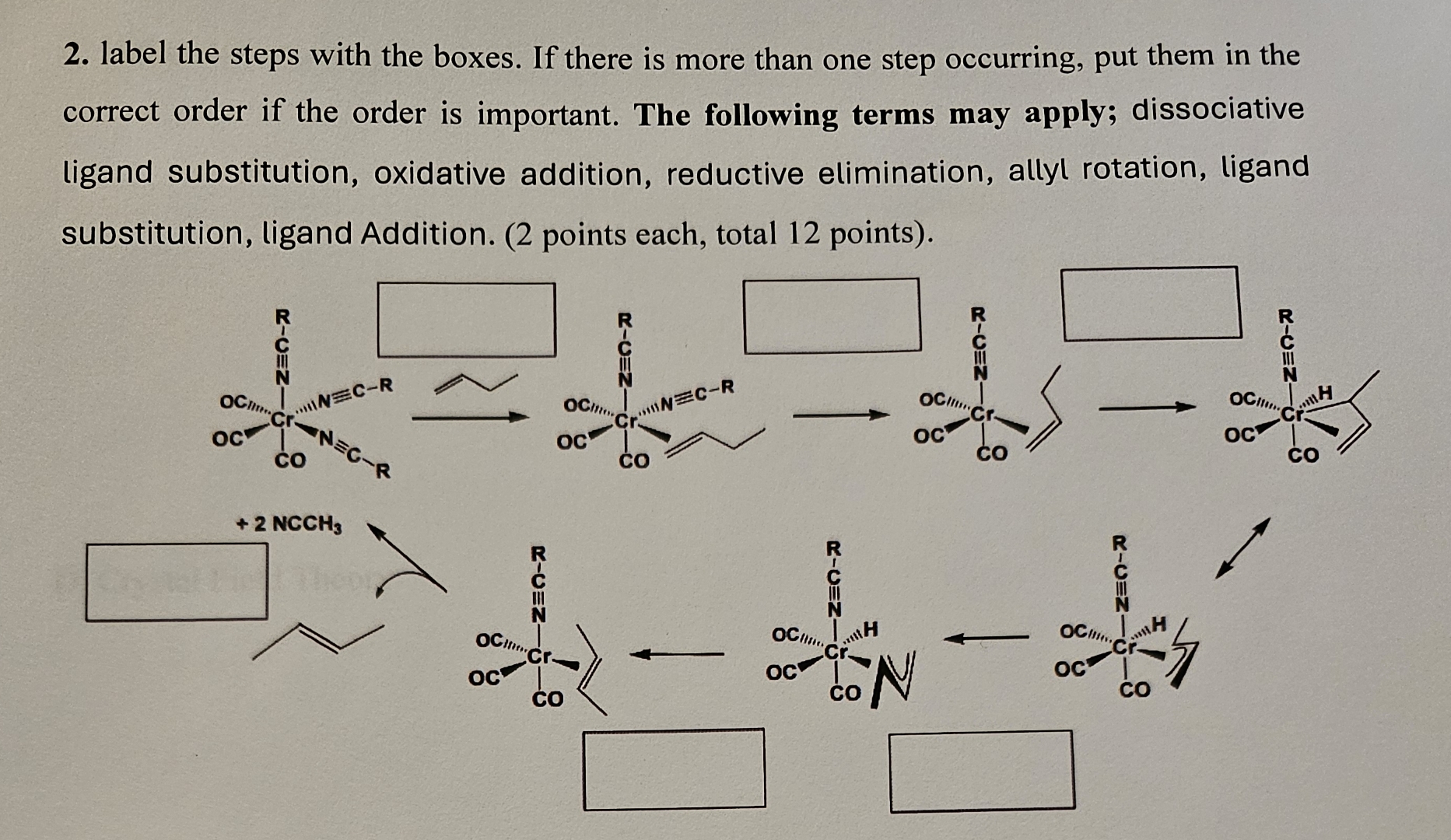 Solved label the steps with the boxes. The following terms | Chegg.com