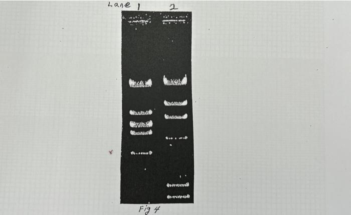 Solved 22-23. See figure 4 at the end of the test. It shows | Chegg.com