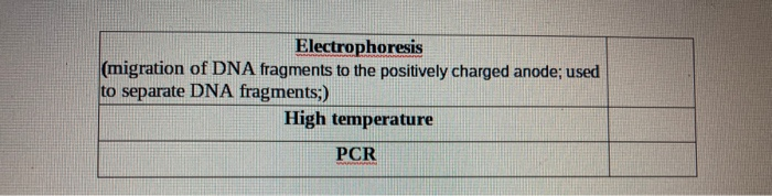Worksheet - Recombinant DNA, PCR 1. Recombinant DNA | Chegg.com