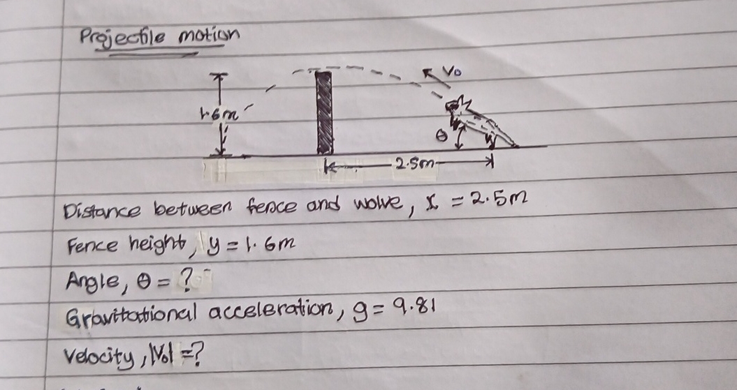 Solved Projectile motionDistance between fence and wolve, | Chegg.com
