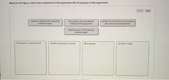 Solved Based on the figure, match each component in the | Chegg.com Solved Based on the figure, match each component in the | Chegg.com