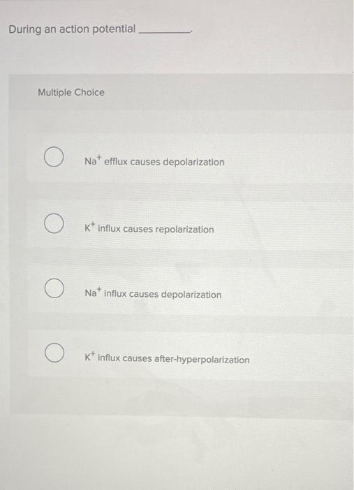 Solved Chemicals that stimulate action potentials in | Chegg.com