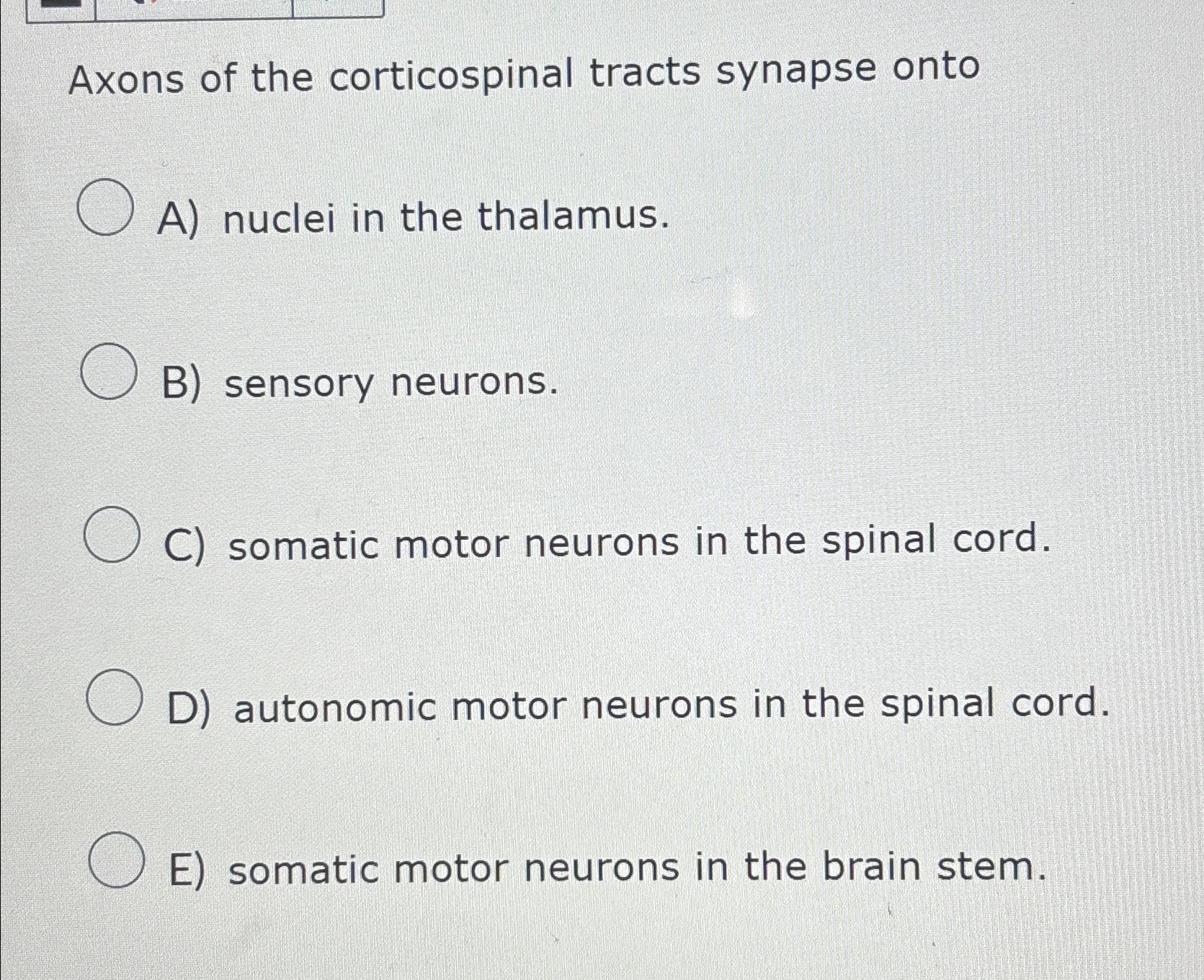 Solved Axons of the corticospinal tracts synapse ontoA) | Chegg.com