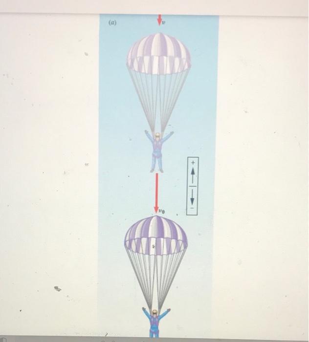Solved A skydiver is falling straight down, along the | Chegg.com