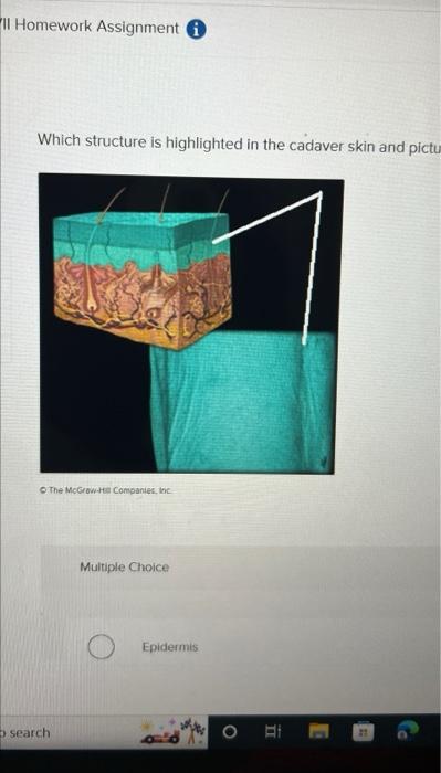 [Solved]: Il Homework Assignment i Which structure is highl