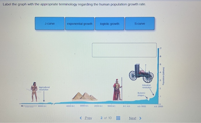 Solved Label the graph with the appropriate terminology | Chegg.com