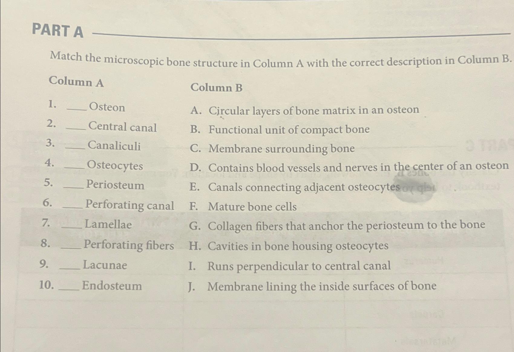 Solved PART AMatch the microscopic bone structure in Column | Chegg.com