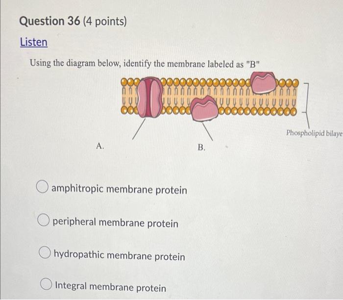 Solved Which of the following Hawthorn structures is correct | Chegg.com